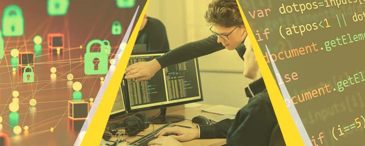 Join Council’s ICT Apprenticeship programme and kick-start a career in ...